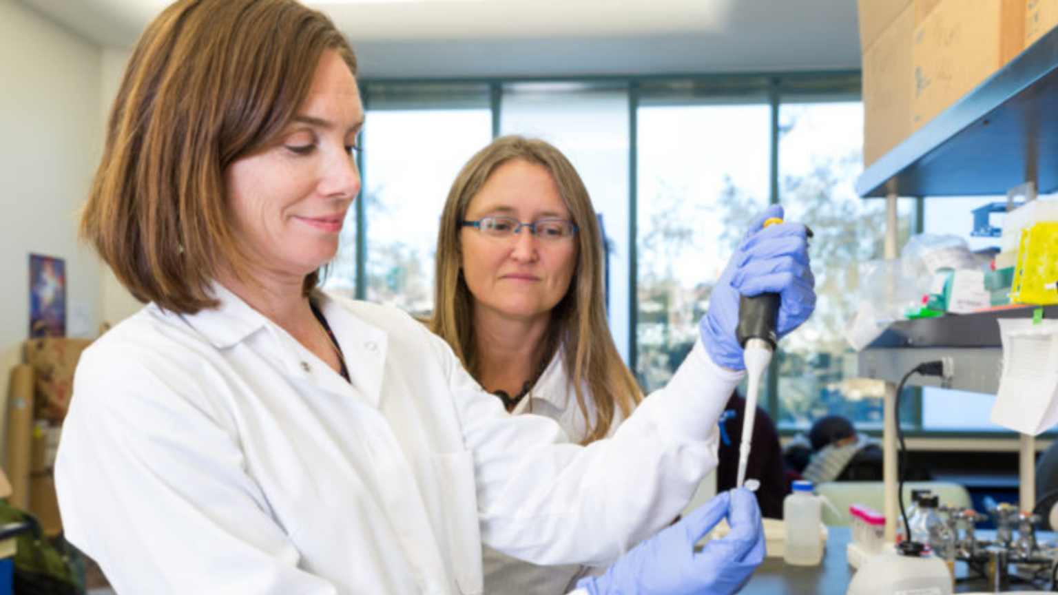 Climate and Environment - UCI Department of Ecology and Evolutionary ...